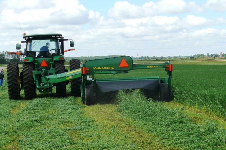 Managing Forages under Dry Conditions – Field Crop News