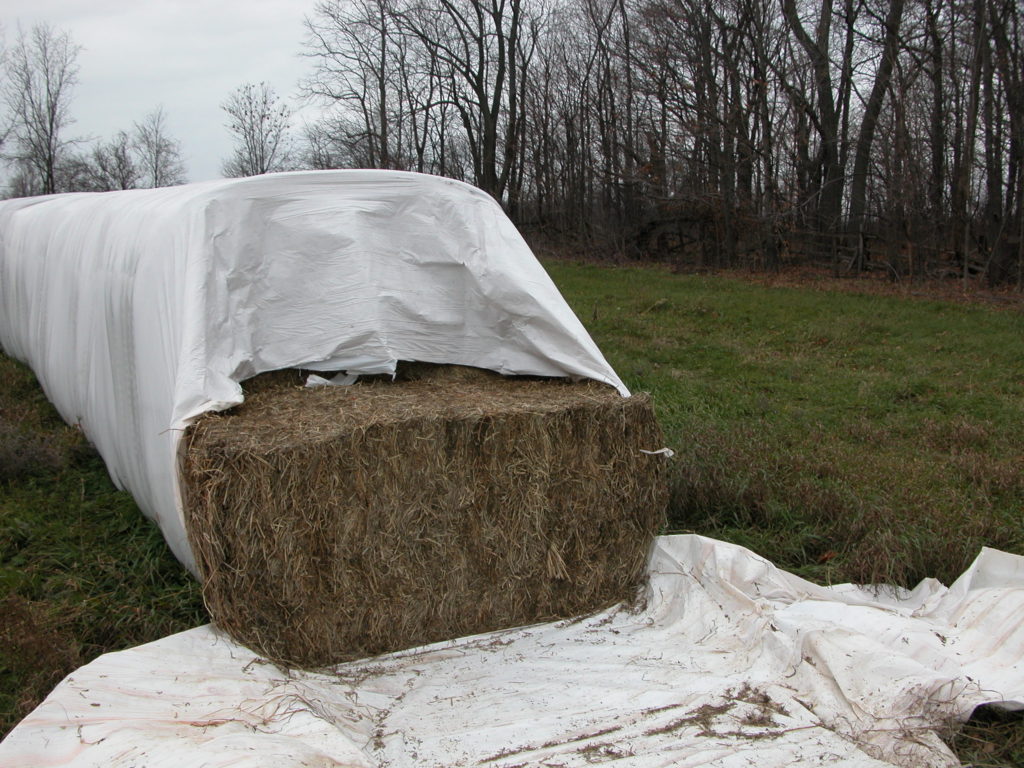 Baleage Tips – Field Crop News