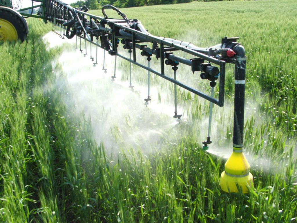 Fungicide Application Decision in Wheat – Field Crop News