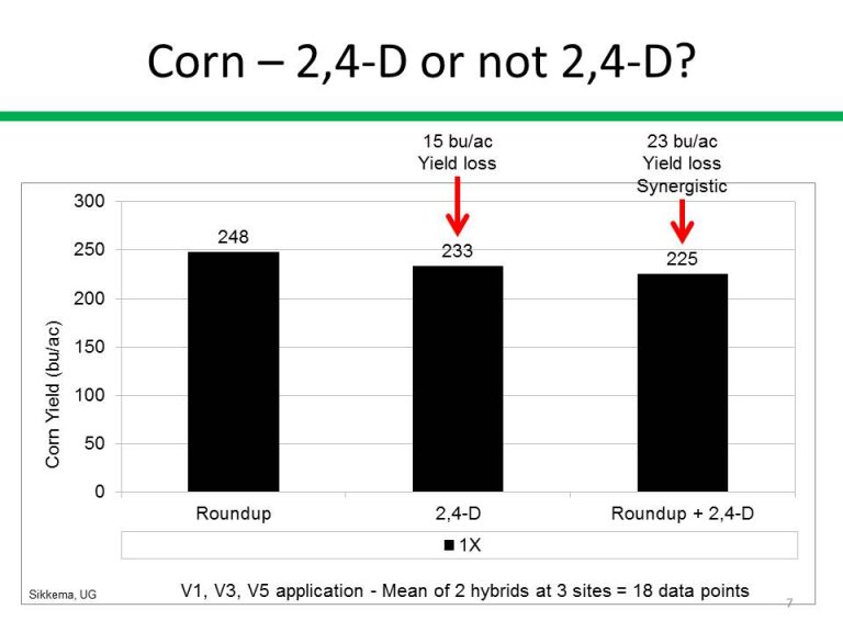 Corn – 2,4-D or not 2,4-D? Situational with Sikkema – Field Crop News
