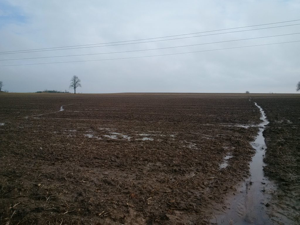 What is the Impact of Erosion on Soil Fertility? – Field Crop News