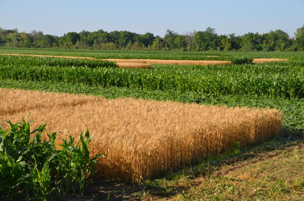 Ontario’s Agricultural Soil Health and Conservation Strategy Released ...