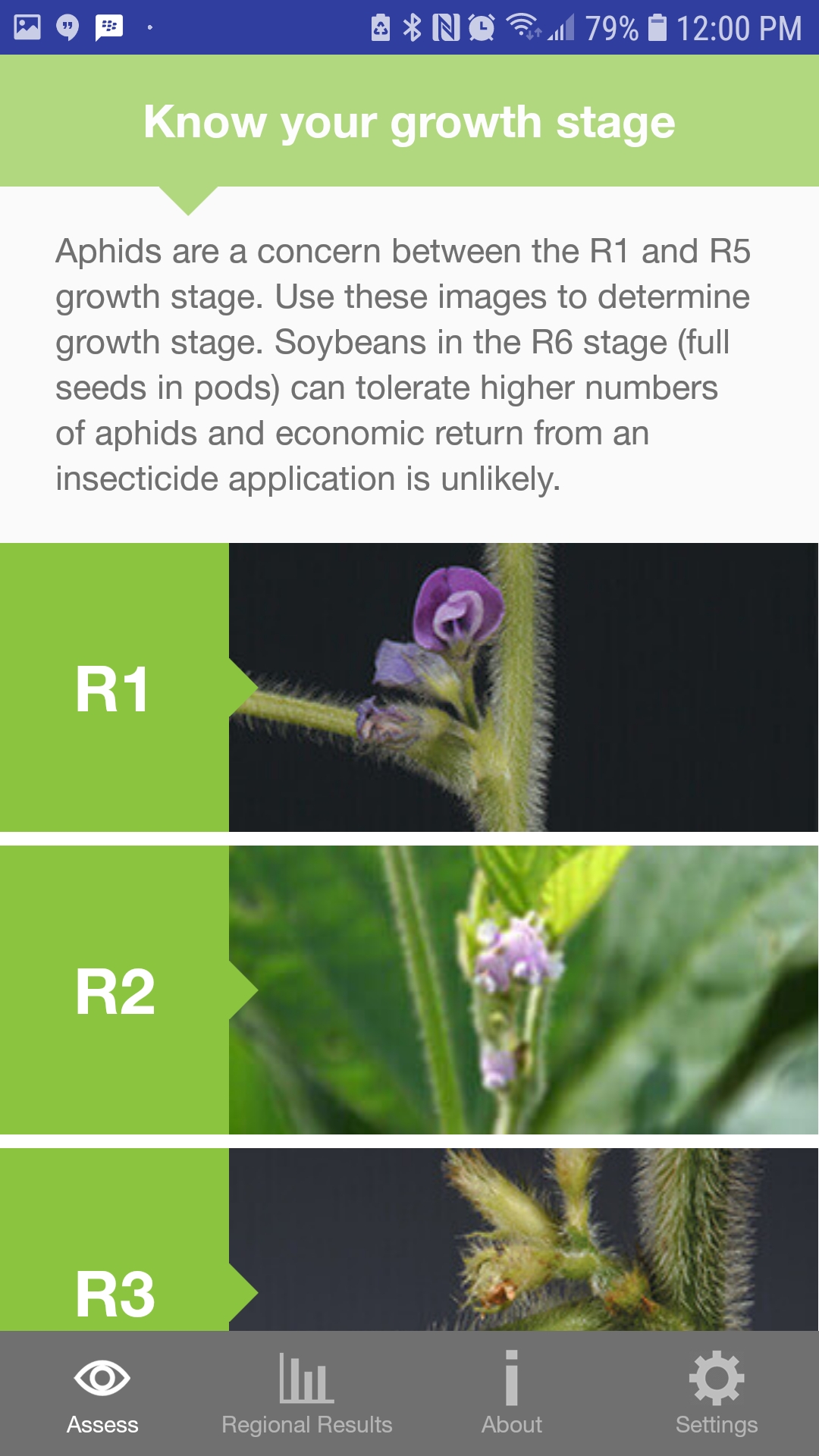 Find Soybean Aphids? Download the New Aphid Advisor V2.0 for Help with Spray Decisions – Field ...