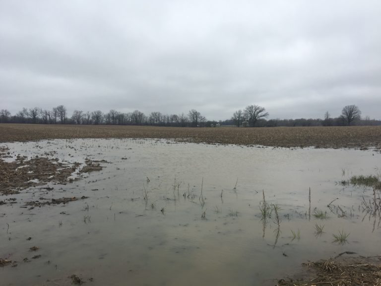 Ontario Field Crop Report – Week of April 29th, 2019 – Field Crop News