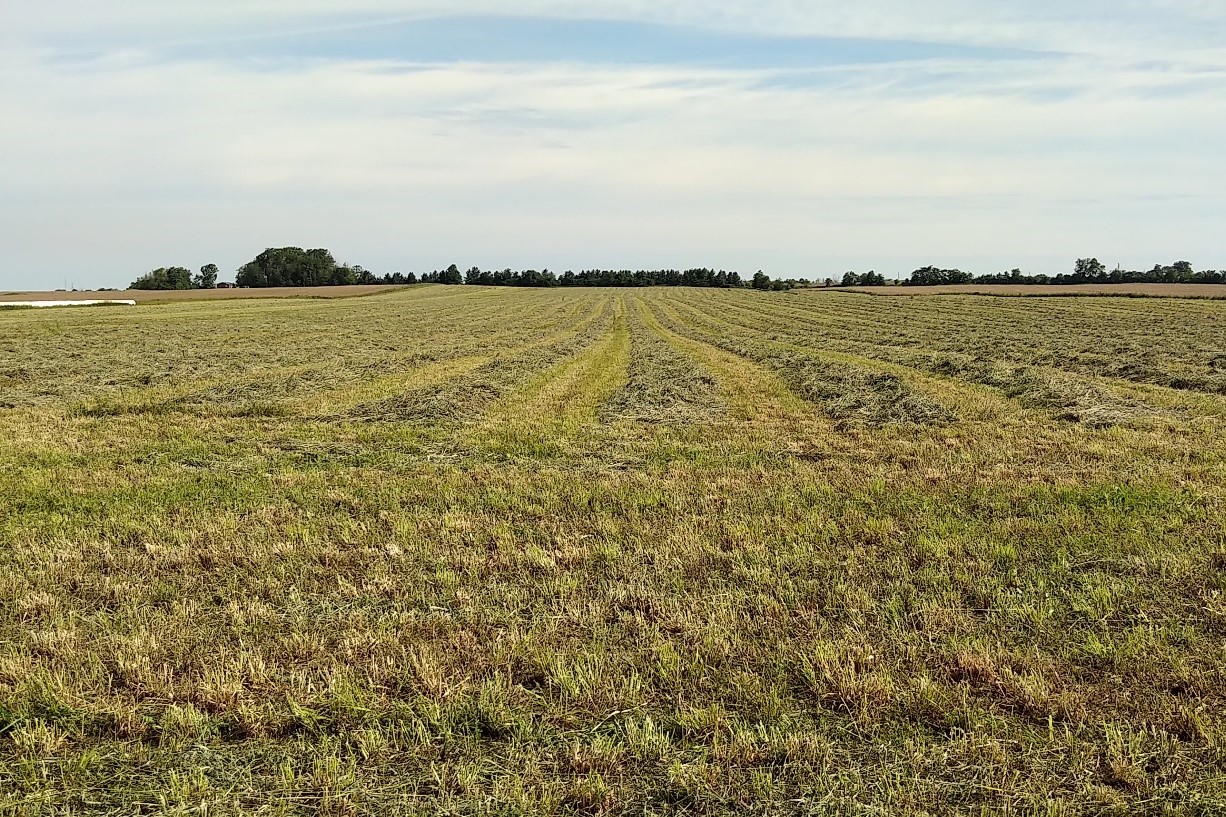 Ontario Field Crop Report – Week of June 17th, 2019 – Field Crop News