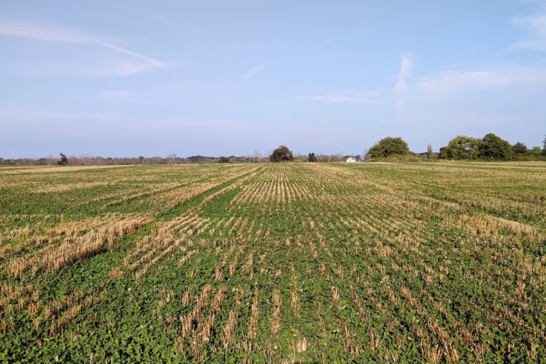 Ontario Field Crop Report – Week of August 19, 2019 – Field Crop News