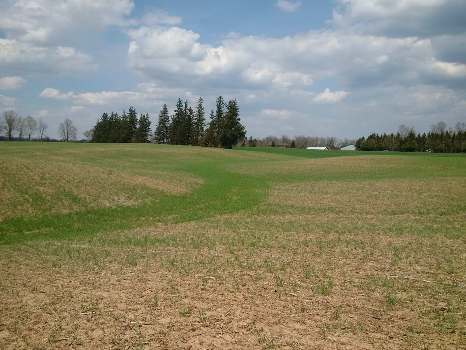 How Ontario farmers are minimizing erosion on their farms – Field Crop News