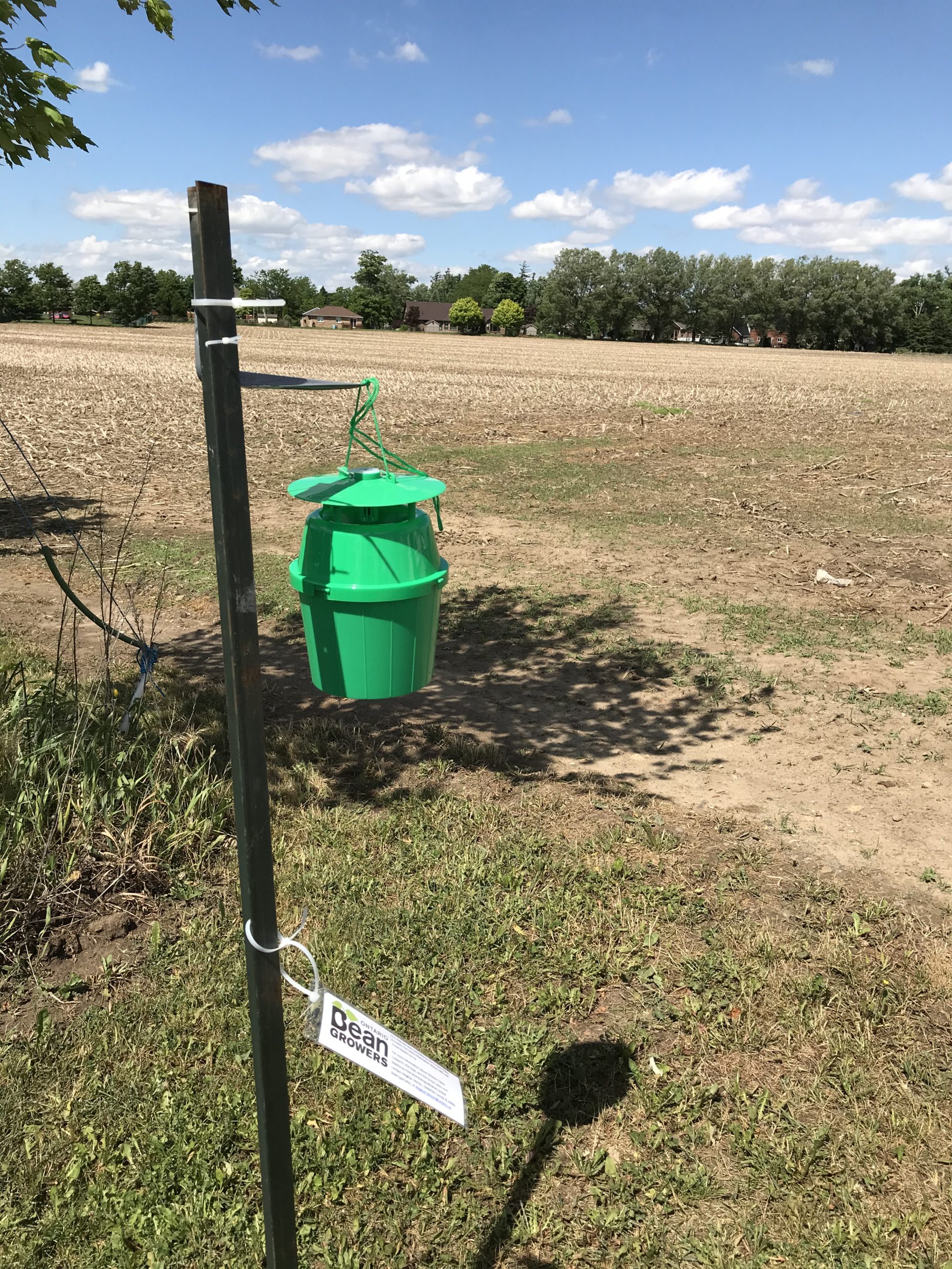 How to Upload Western Bean Cutworm Trap Counts – Field Crop News