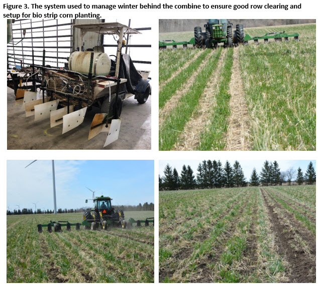 Biostrip Till Production Systems – Letting Plants Do The Tillage ...