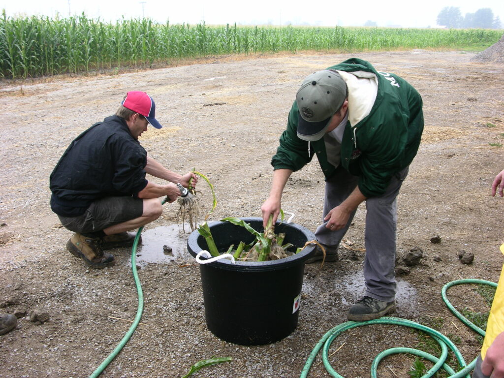 Scouting Guidelines to Determine Possible Rootworm Resistance – Field ...