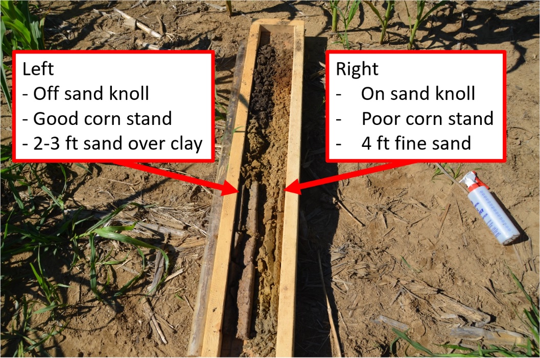 Getting to Know Your Knolls Part 2: Understanding and Managing Low pH ...