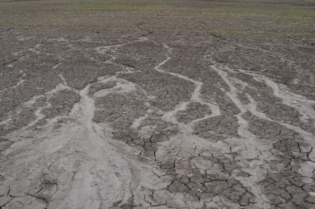 Getting to Know Your Knolls Part 1: Understanding and Managing High pH ...