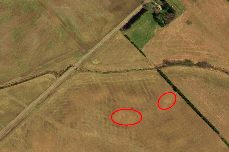 Getting to Know Your Knolls Part 2: Understanding and Managing Low pH ...