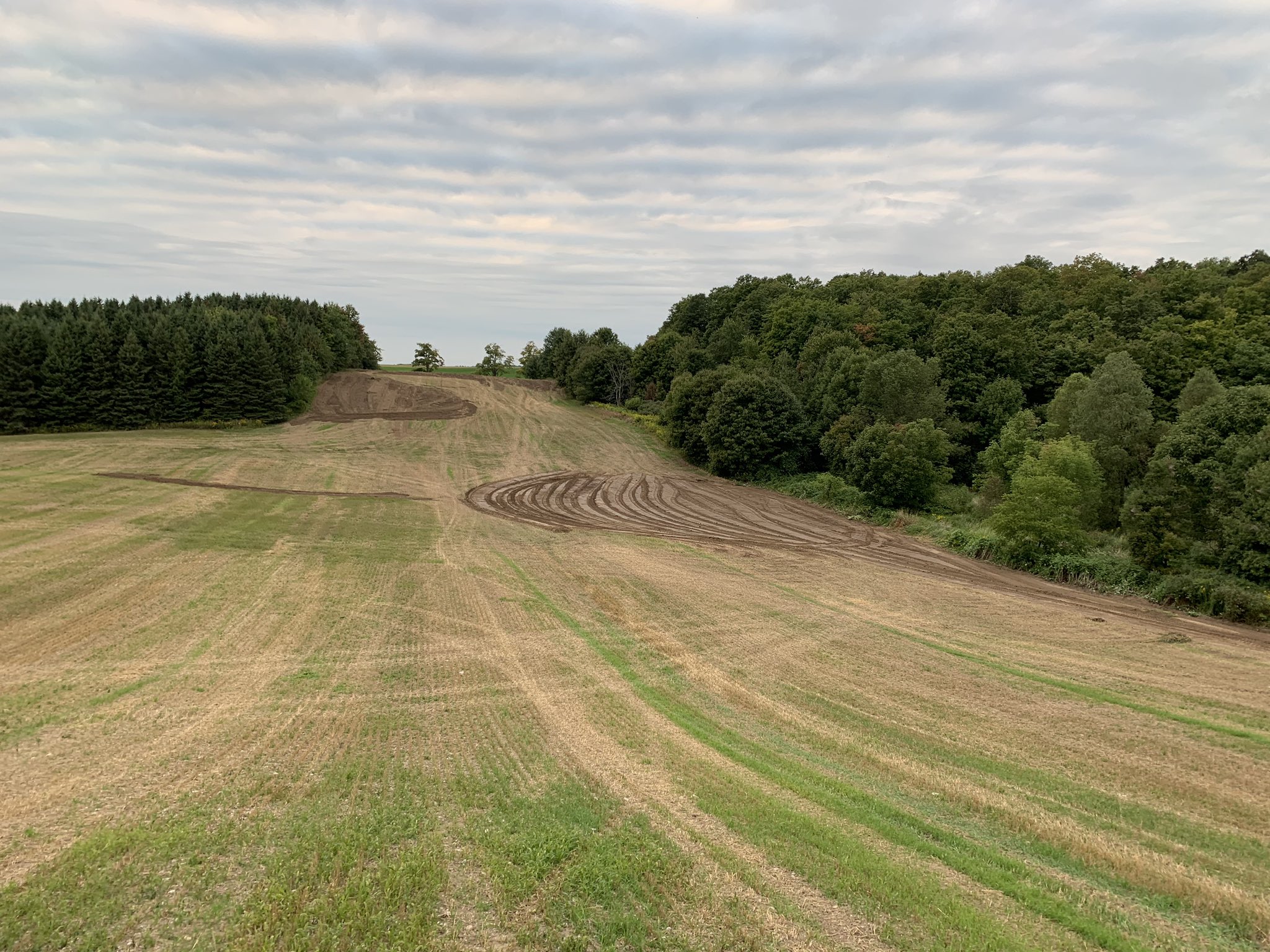 OMAFRA Field Crop Report – September 10, 2020 – Field Crop News