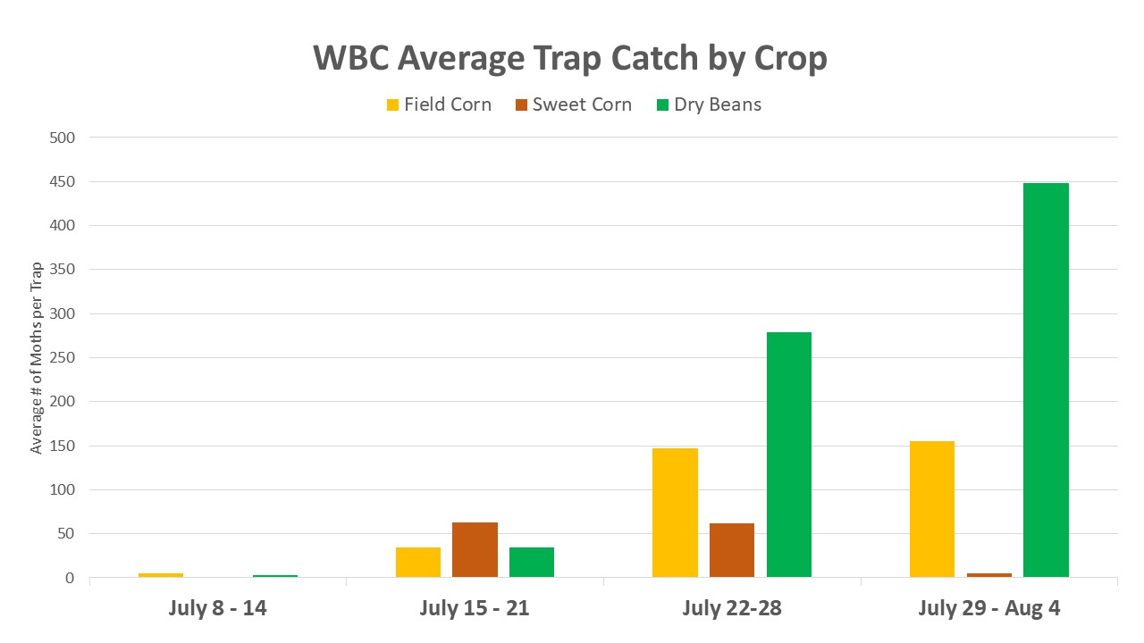 Western Bean Cutworm Trap Catch Results as of Aug 3rd – Field Crop News
