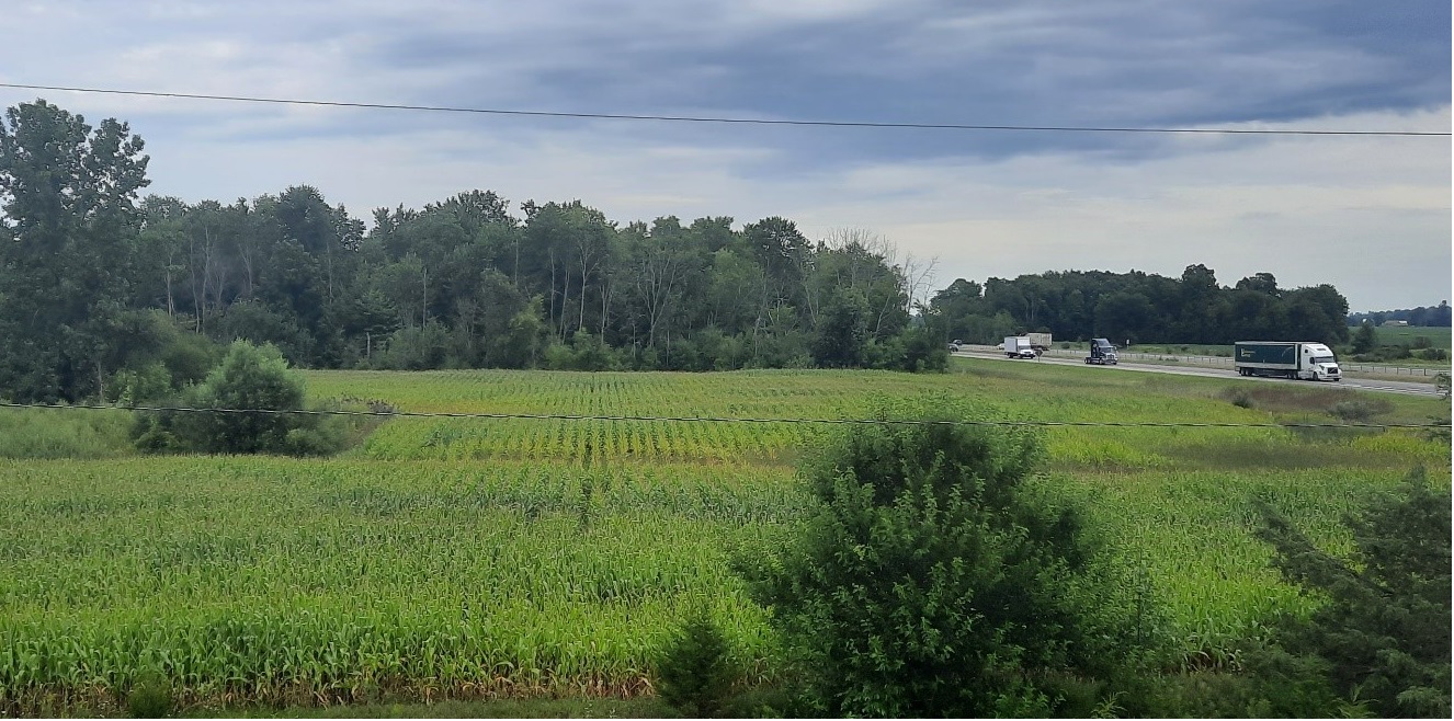 2021 Corn Seasonal Summary – Field Crop News