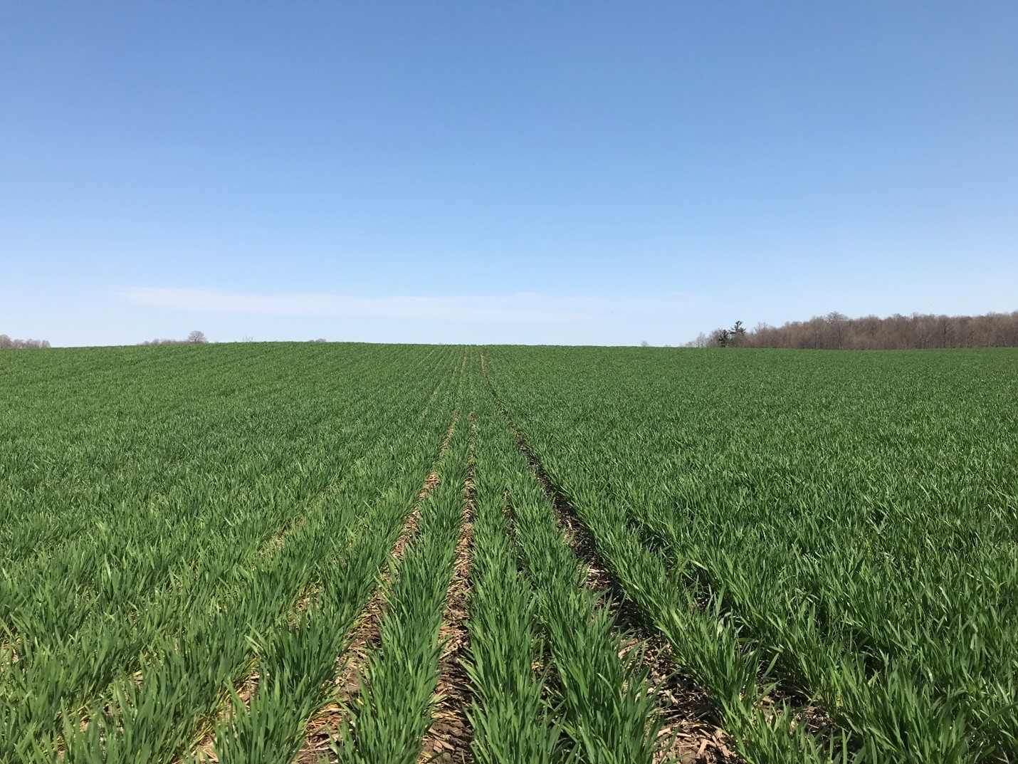 Crop Report – May 4th, 2022 – Field Crop News