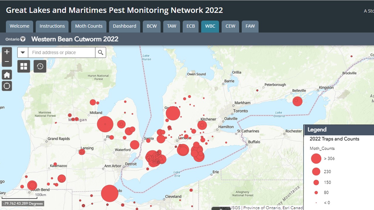 WBC Trap Catches Increasing But Not Peaking Yet – Scout for Egg Masses ...
