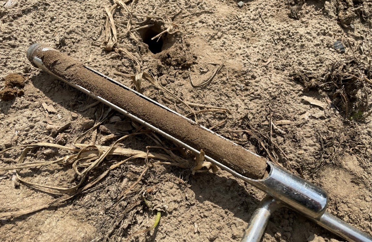 Ontario Field Crop Report – August 3, 2022 – Field Crop News