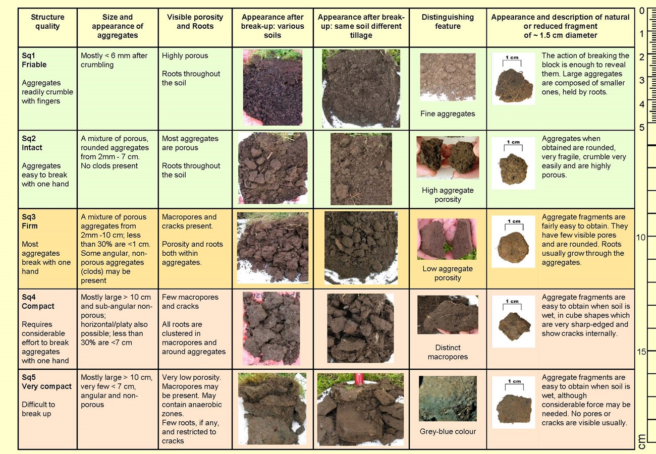 Ontario Field Crop Report – August 17, 2022 – Field Crop News