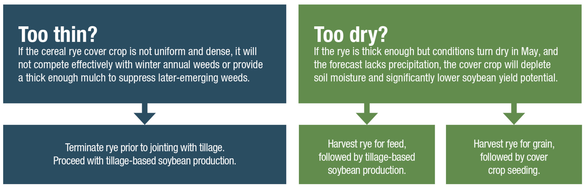 Organic No-Till Soybean Production: Making it Work in Ontario – Field ...