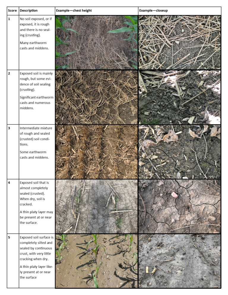 Soil Surface Quality Assessment – Field Crop News