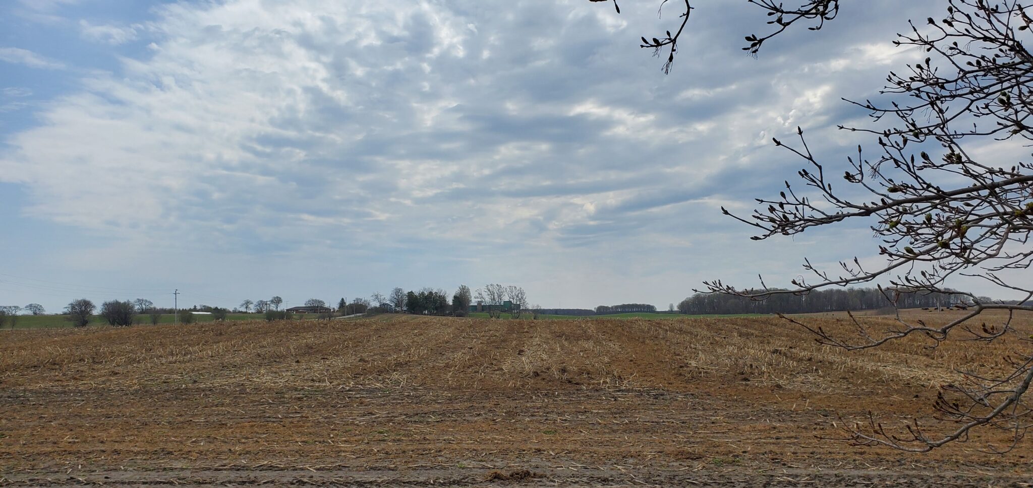 Crop Conditions – Week of April 20, 2023 – Field Crop News