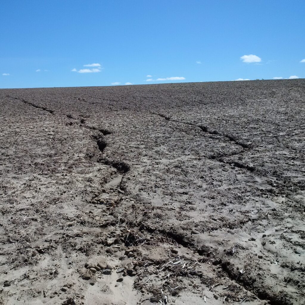 Soil Health Assessment and Plan Guidebook – Field Crop News