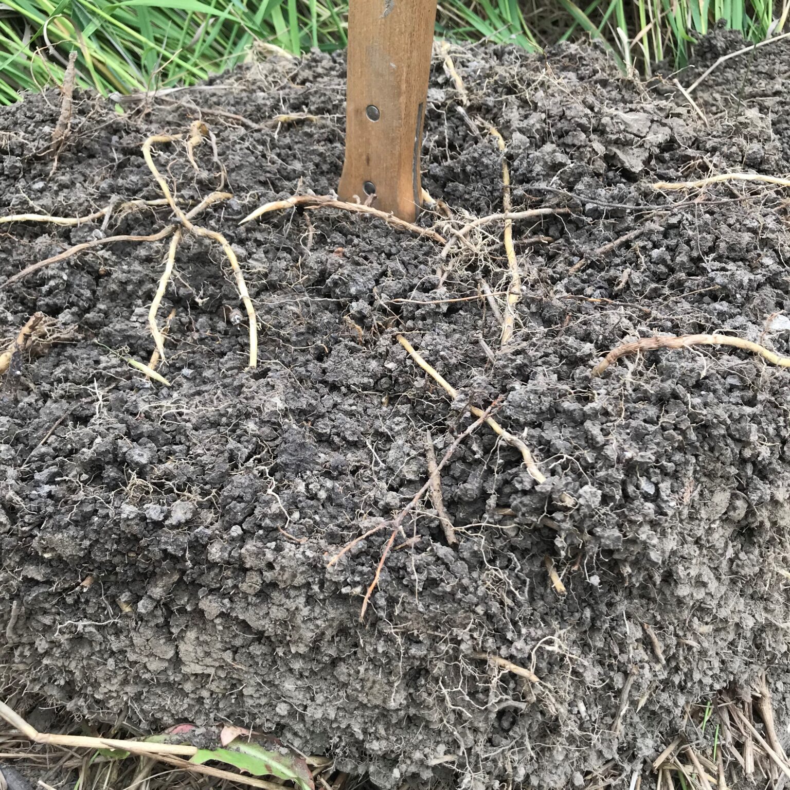 Soil Health Assessment and Plan Guidebook – Field Crop News