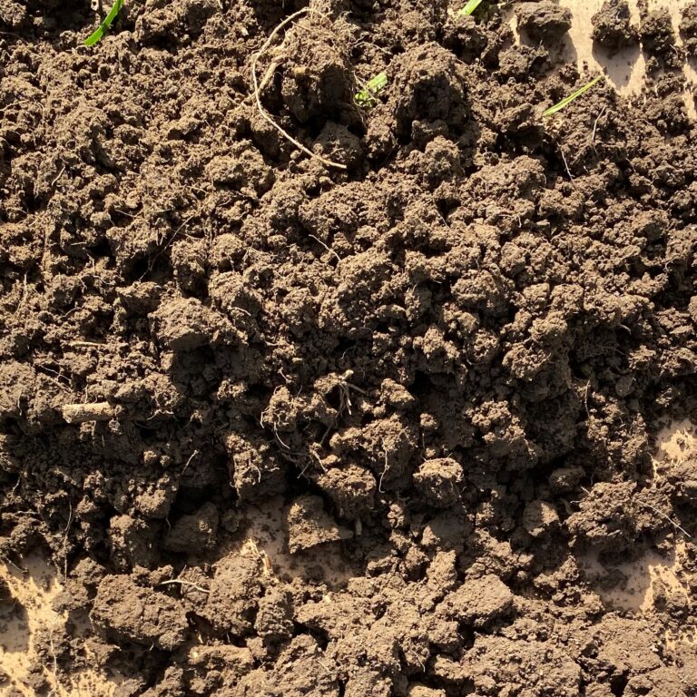 Soil Health Assessment and Plan Guidebook – Field Crop News
