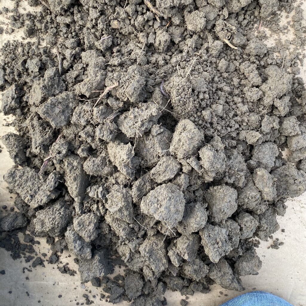 Soil Health Assessment and Plan Guidebook – Field Crop News