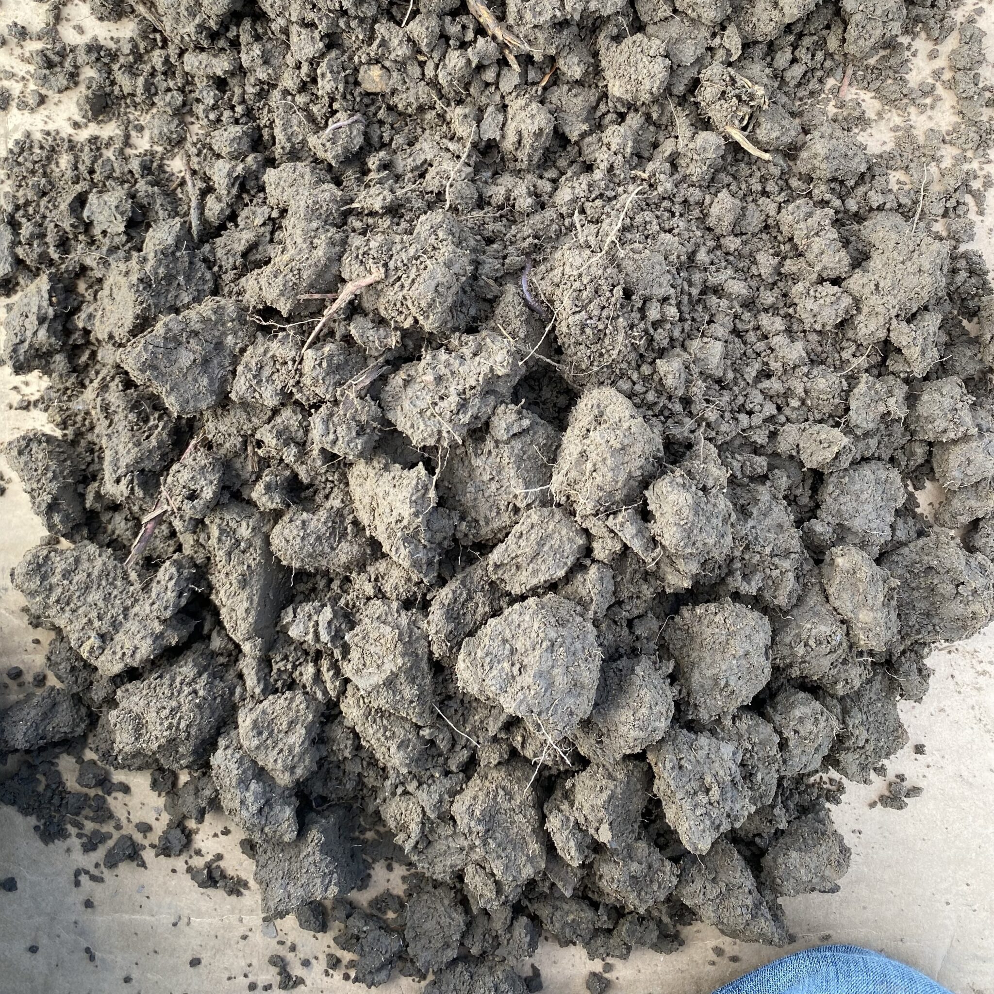 Soil Health Assessment and Plan Guidebook – Field Crop News