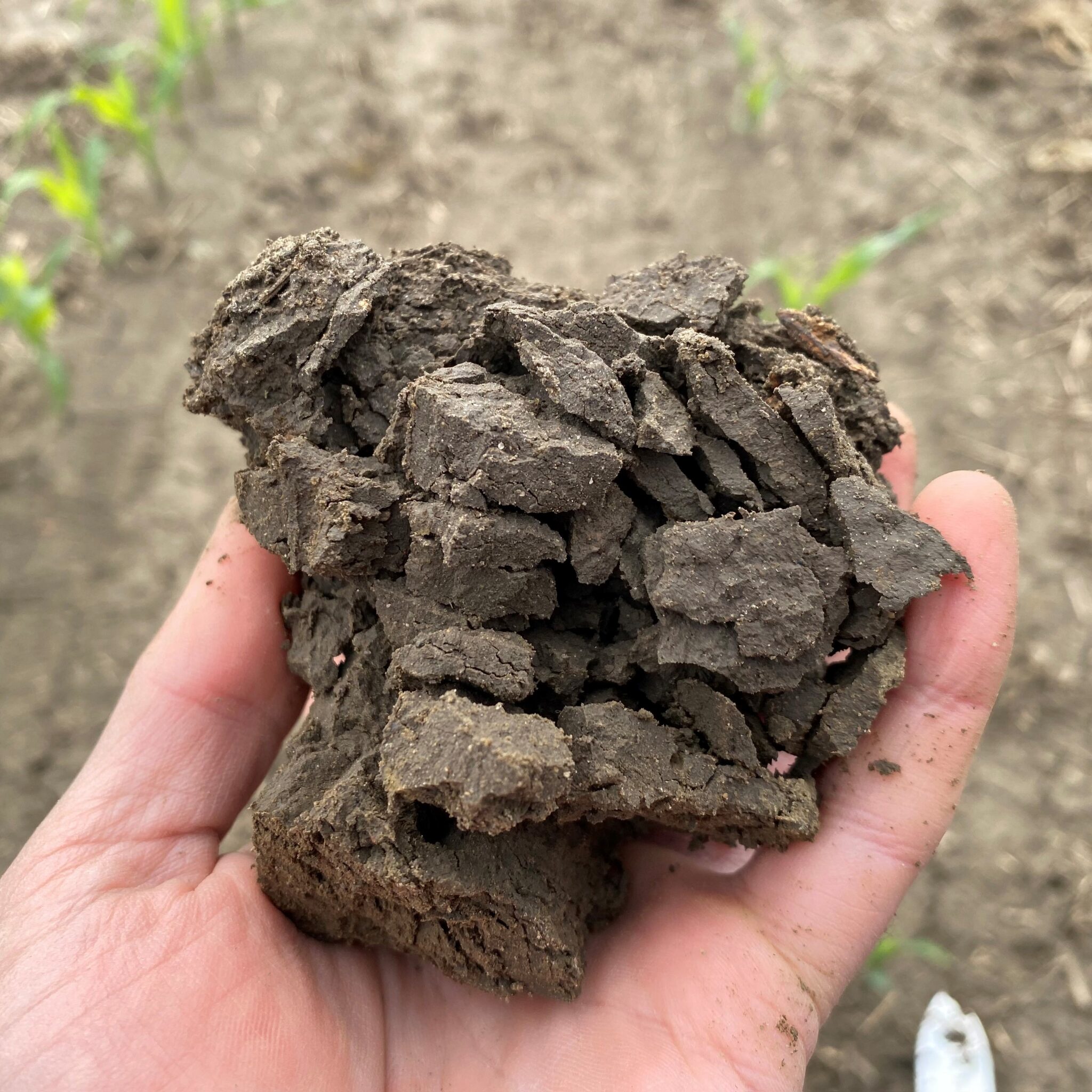 Soil Health Assessment and Plan Guidebook – Field Crop News