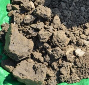 Soil Health Assessment and Plan Guidebook – Field Crop News