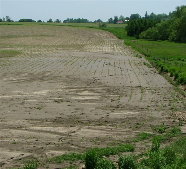 Soil Health Assessment and Plan Guidebook – Field Crop News