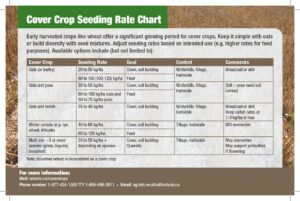 Achieving success with cover crops after winter wheat – Field Crop News