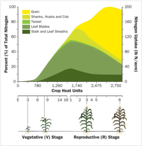 Nitrogen losses in saturated soils – Field Crop News