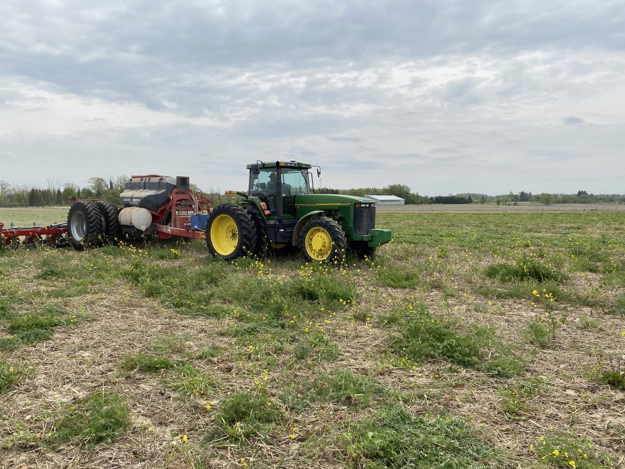 Does it work to plant green into cover crops for corn? Five unique ...