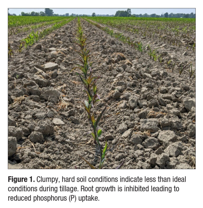 Why do I see nutrient deficiencies in my crops, even with moderate soil ...