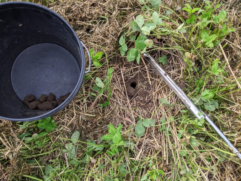 A Guide to Soil Sampling – Field Crop News