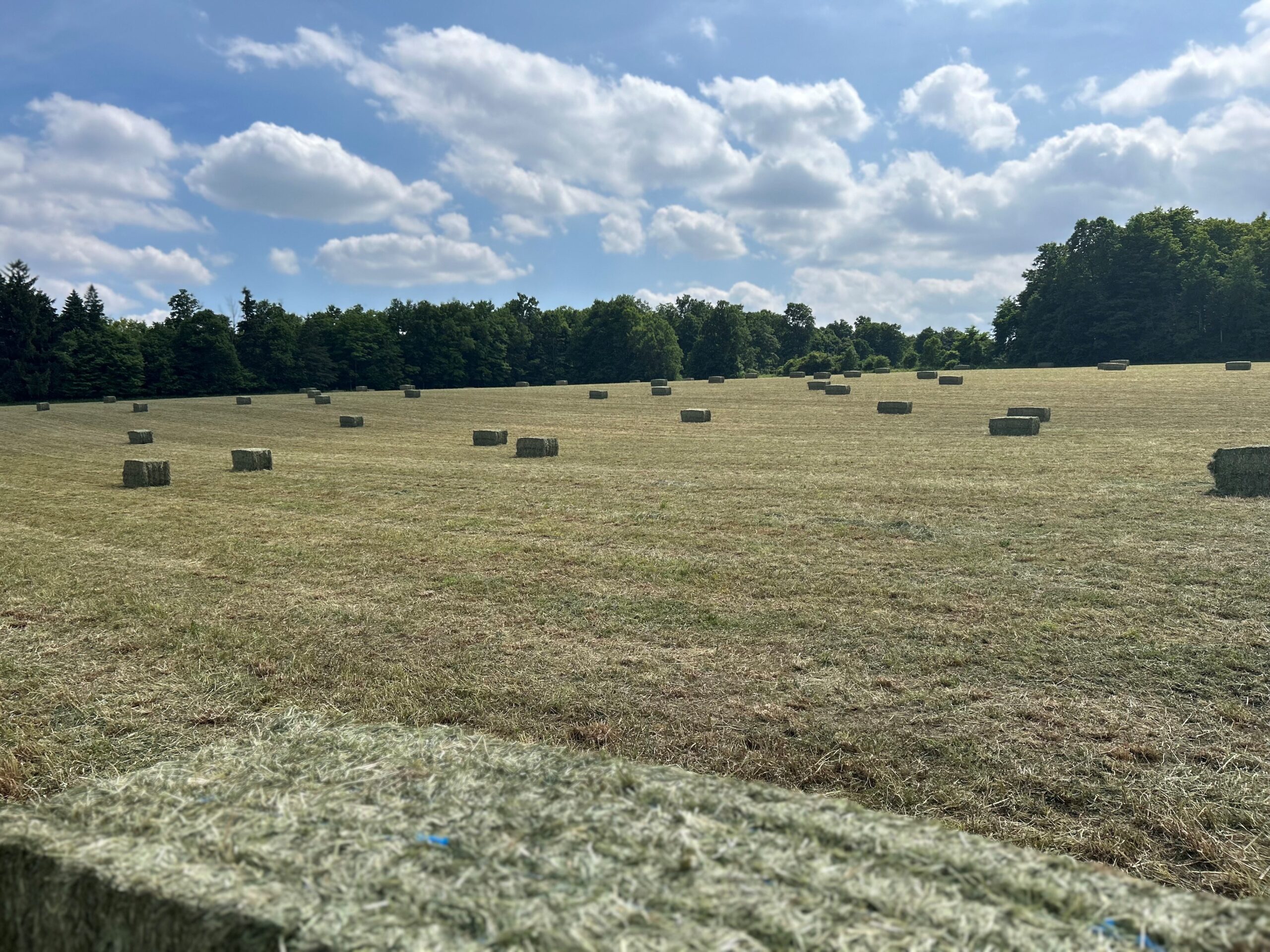 Field Crop News – Ontario Ministry of Agriculture, Food and Rural ...