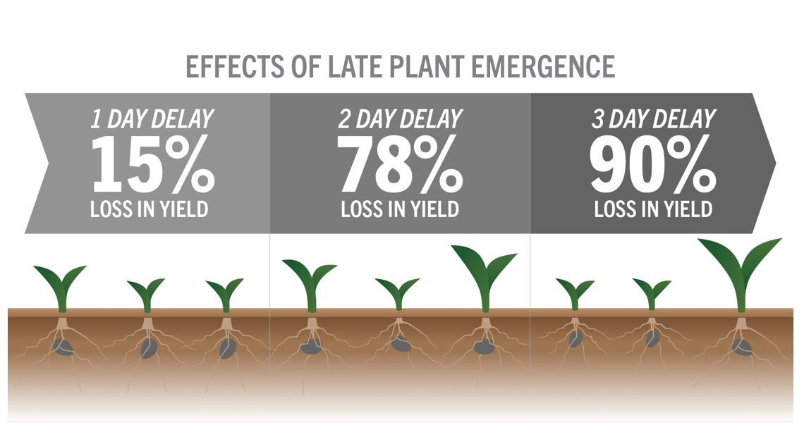 Determining Corn Planting Depth Based of Your Farm’s Conditions – Field ...